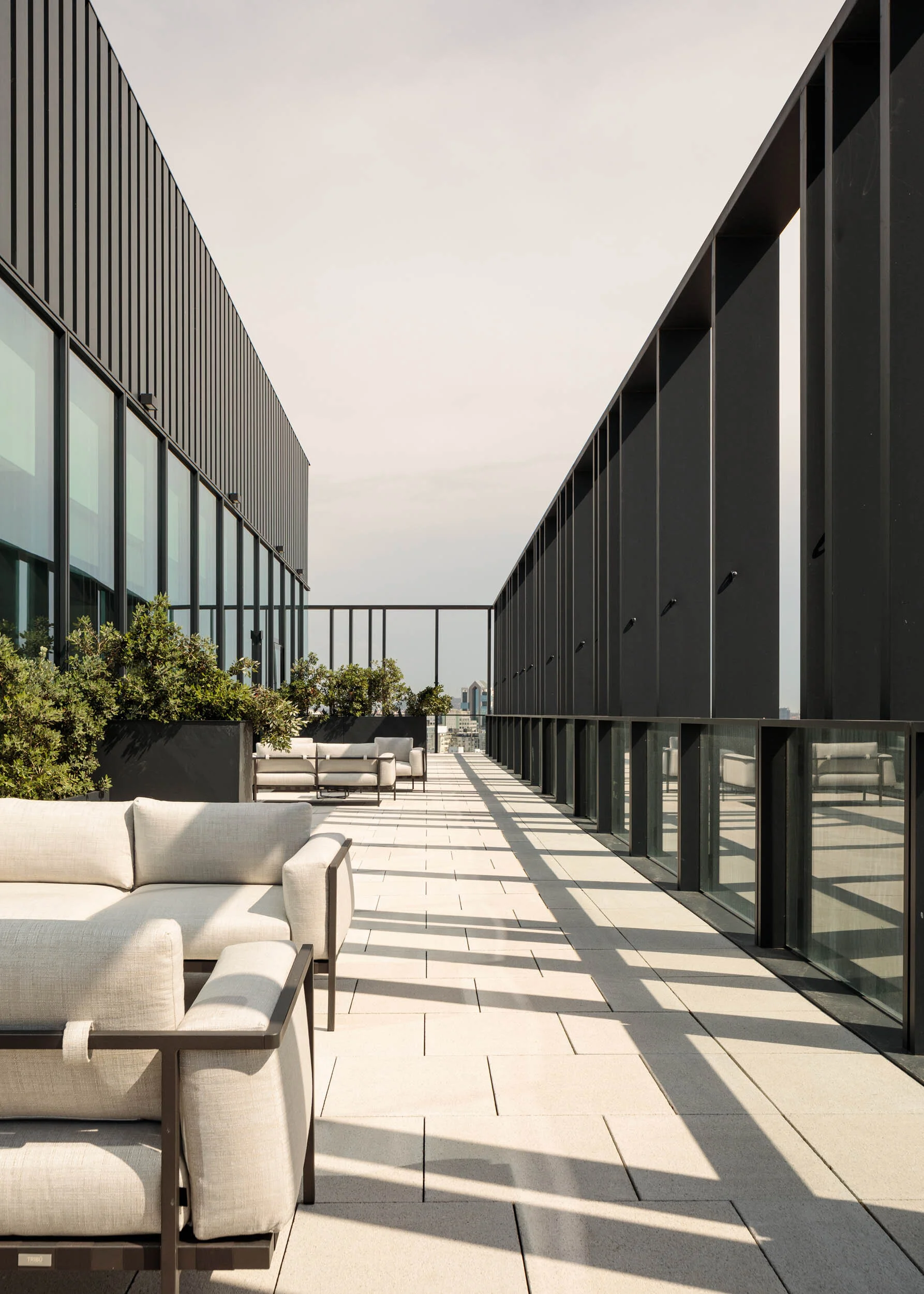 PLMJ Porto — Vector Mais