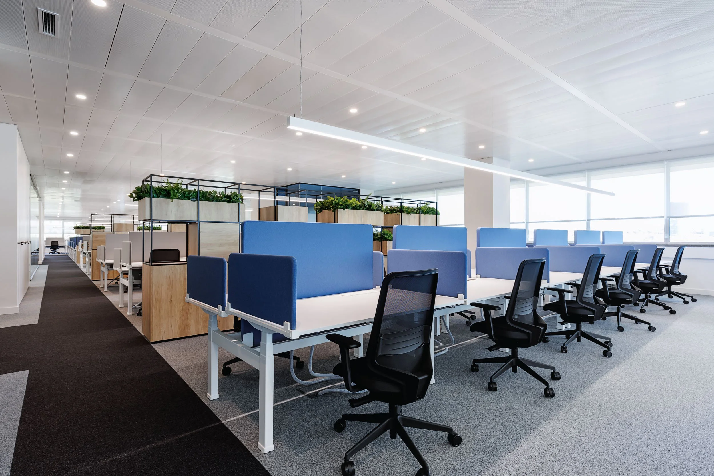 Synopsys — Vector Mais