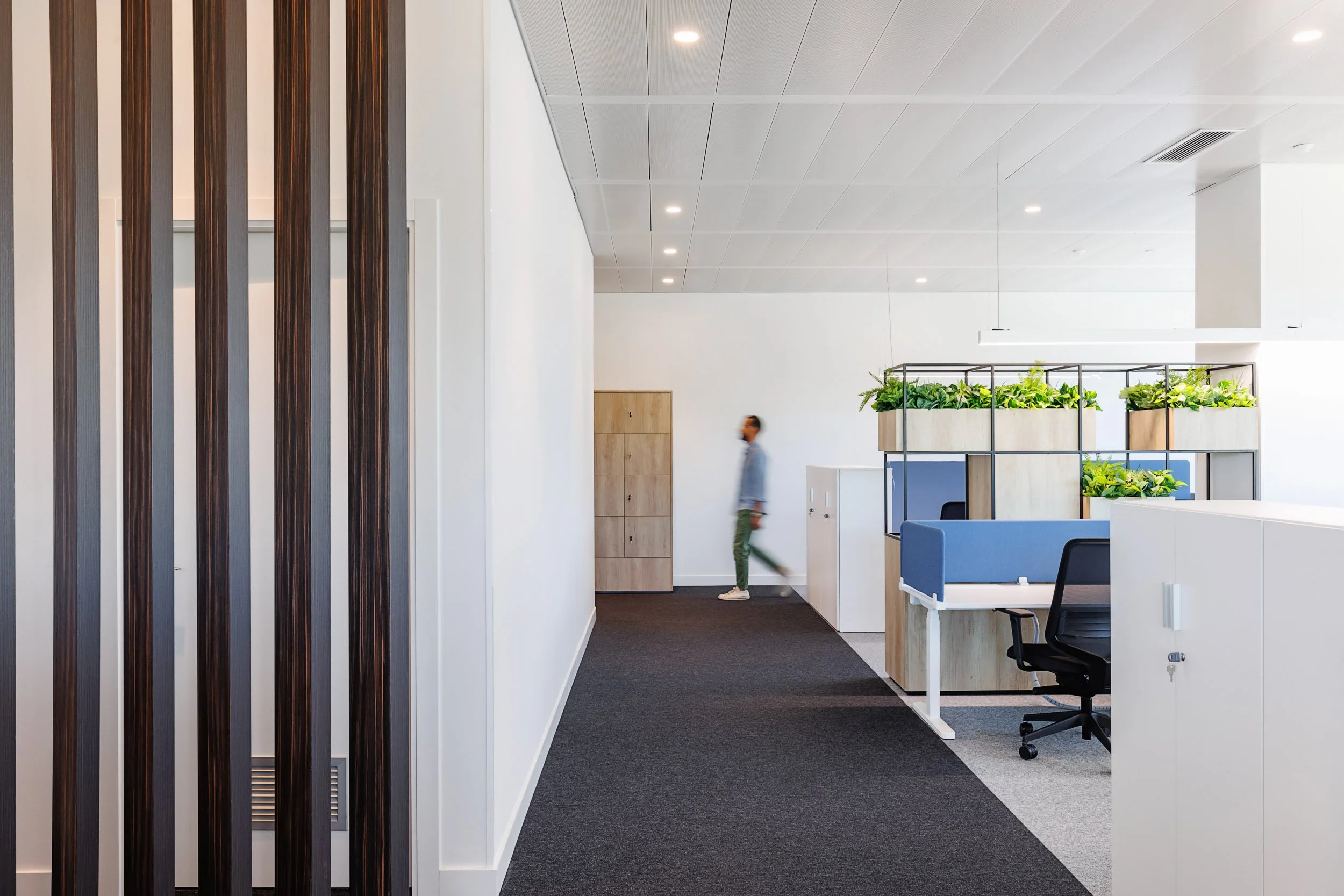 Synopsys — Vector Mais