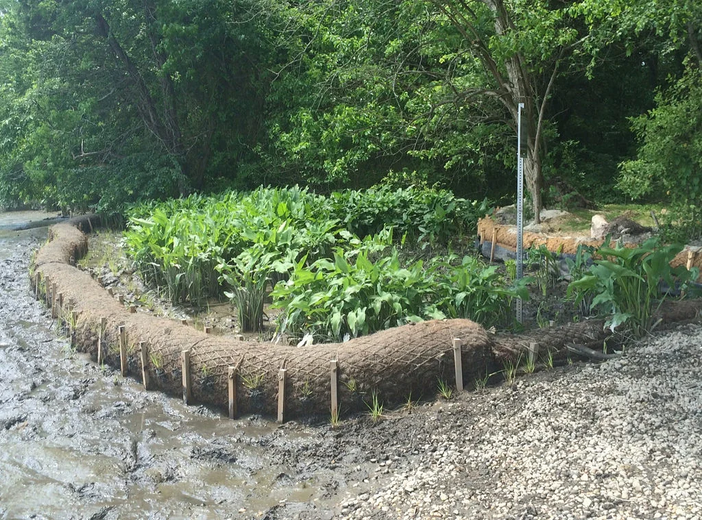 Examples — Delaware Living Shorelines