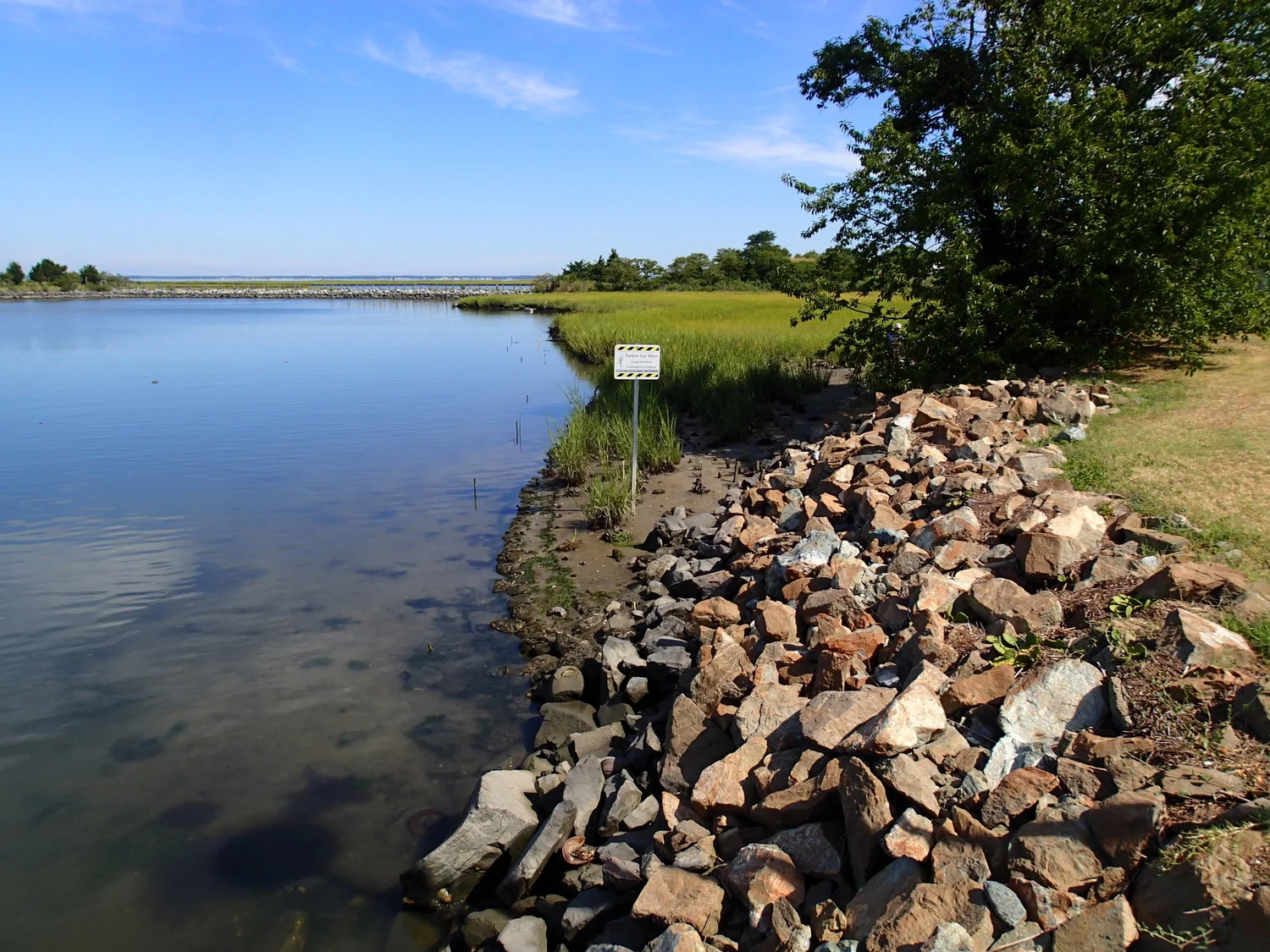 Examples — Delaware Living Shorelines