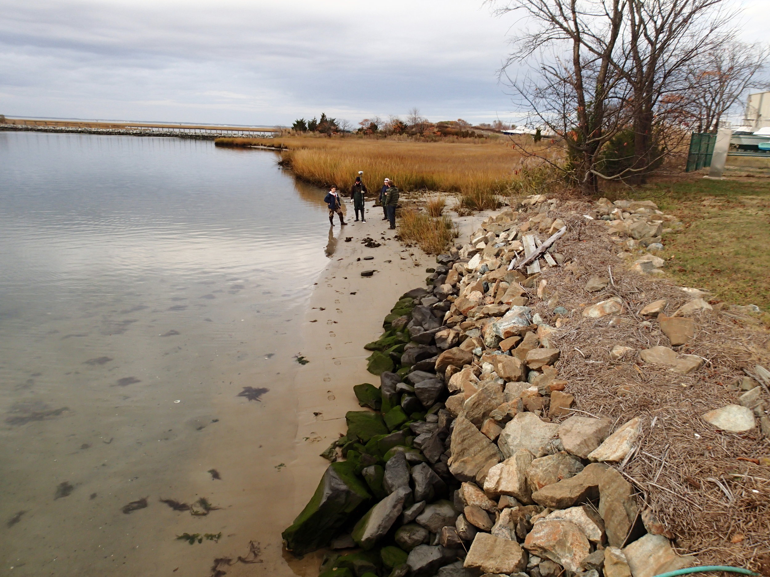 Delaware Living Shorelines