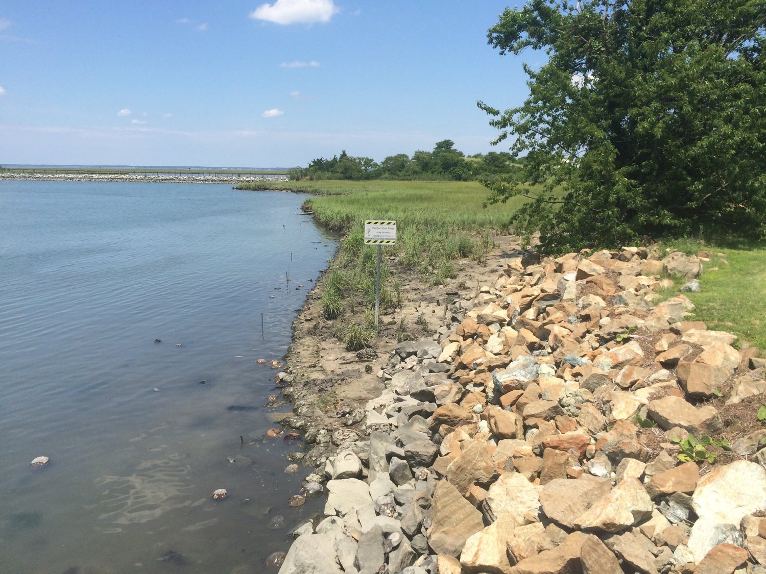 Delaware Living Shorelines