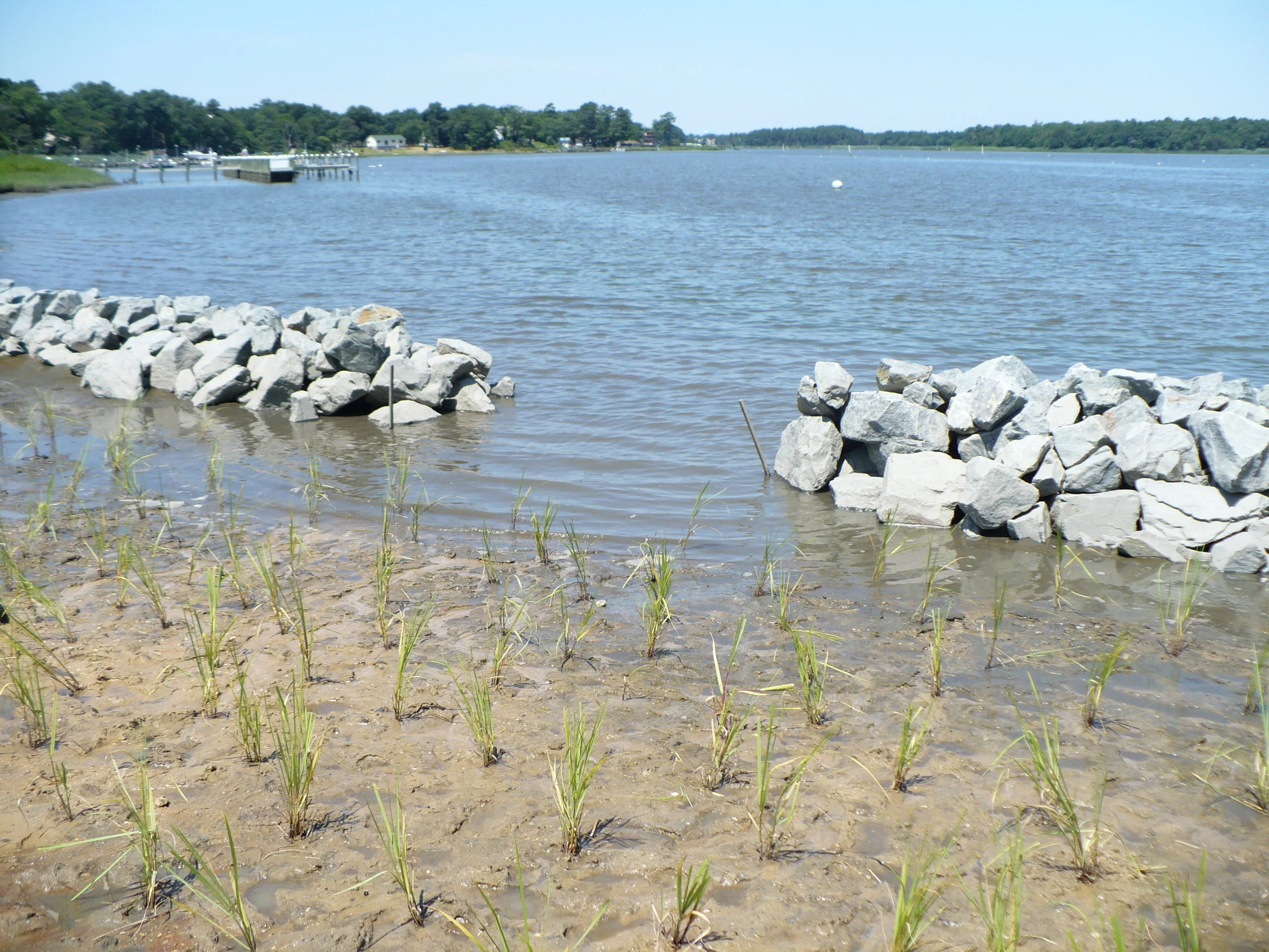 Where To Start Delaware Living Shorelines