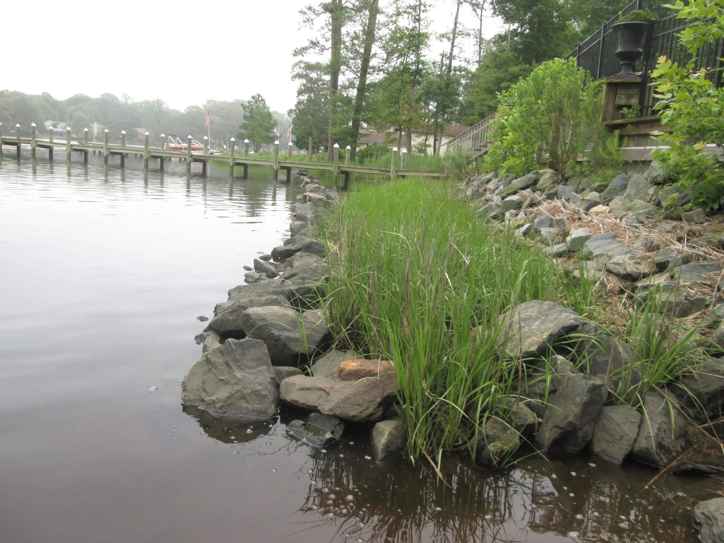 About Living Shorelines — Delaware Living Shorelines