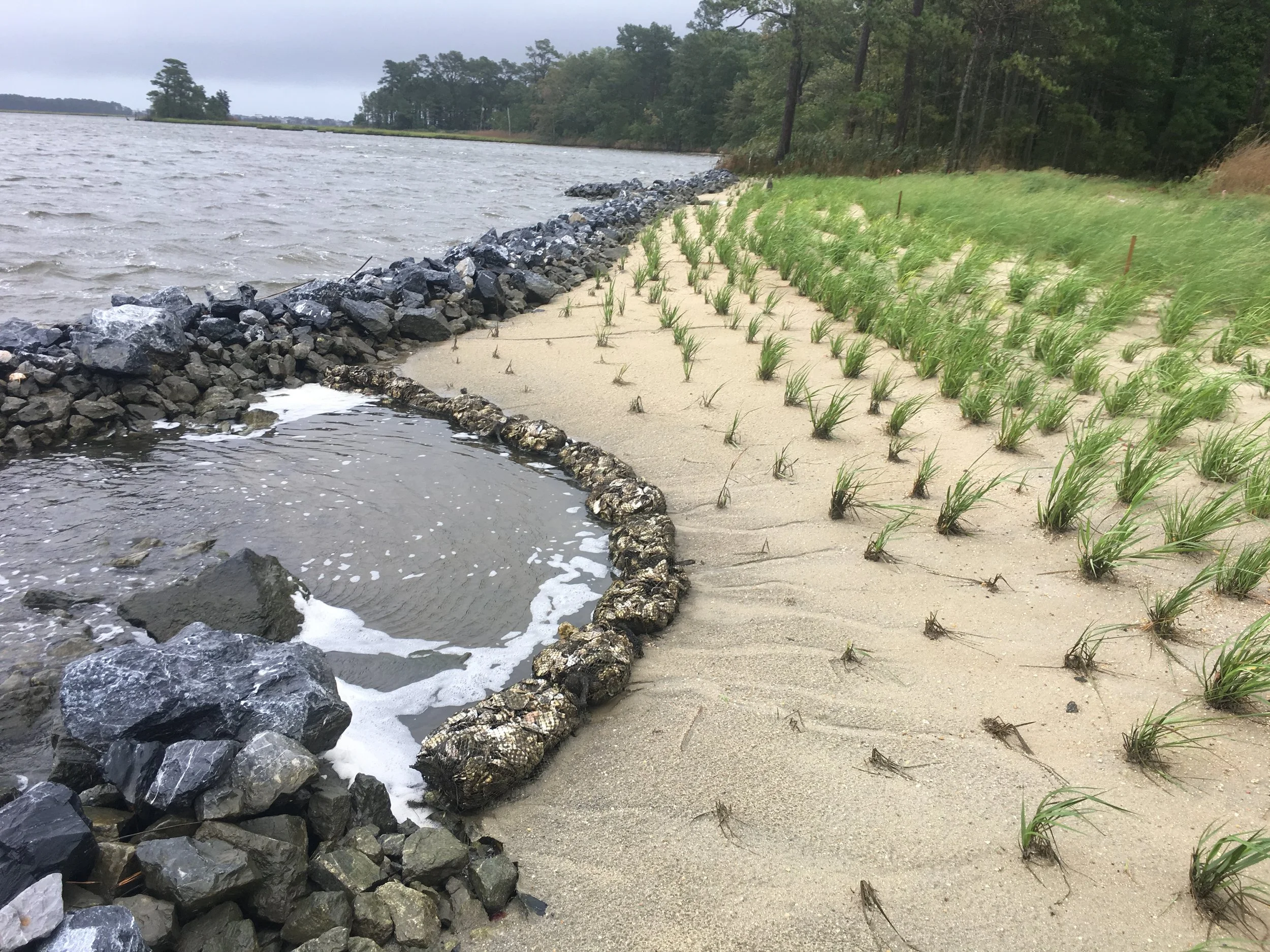Introduction to Living Shorelines Training — Delaware Living Shorelines