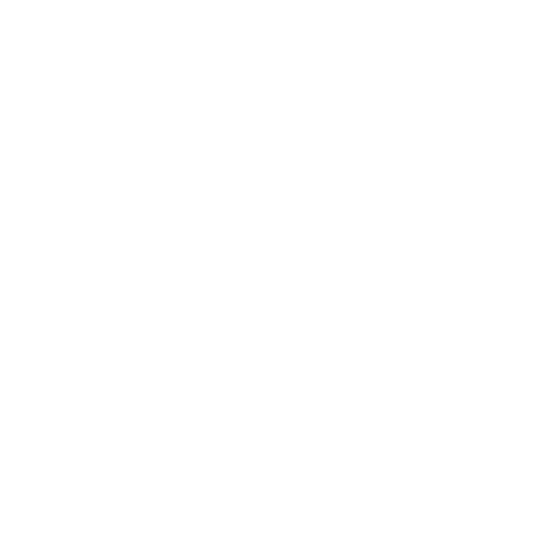 ISSUE 009 — Flurry