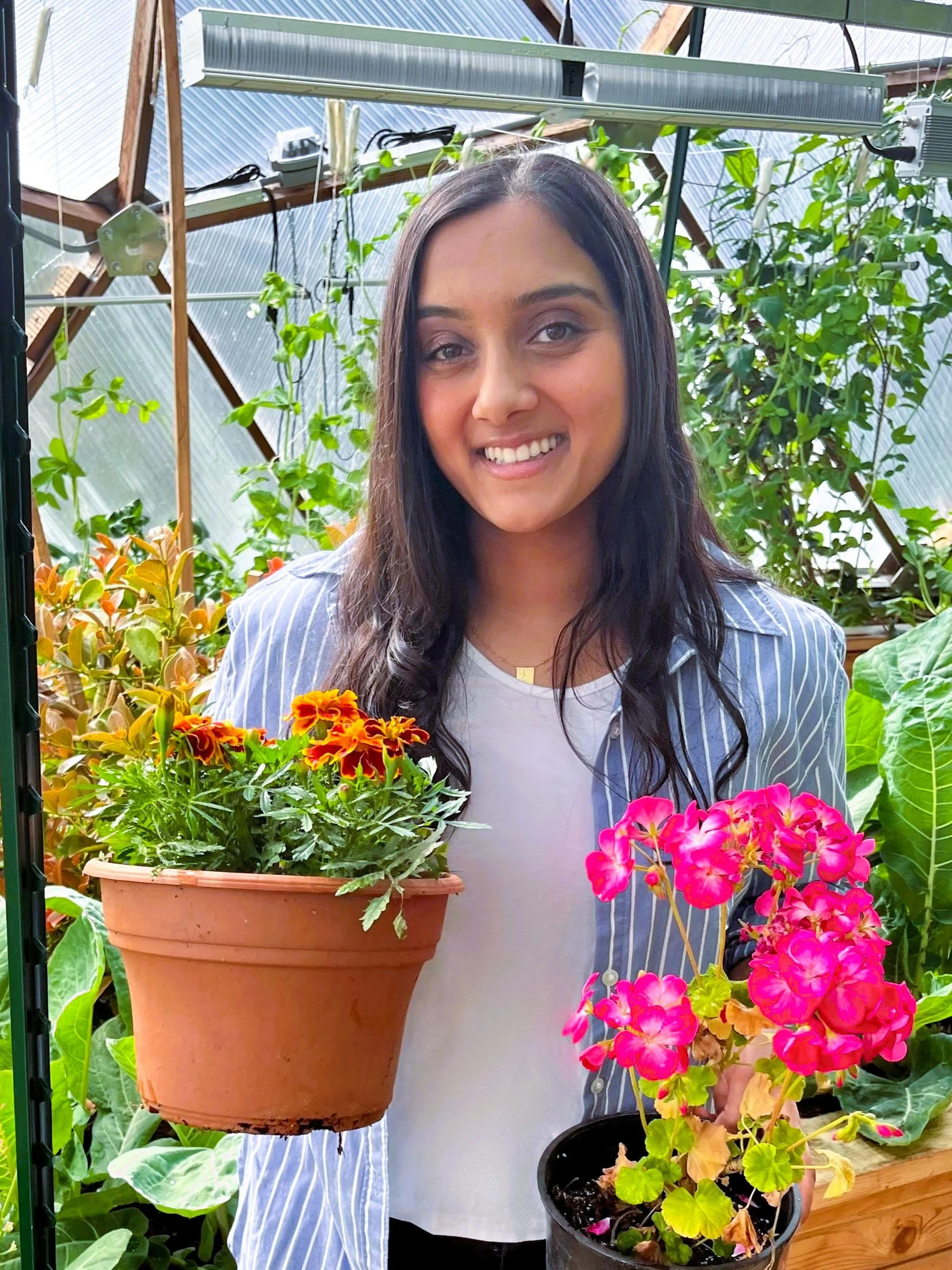 Team — Elements Society