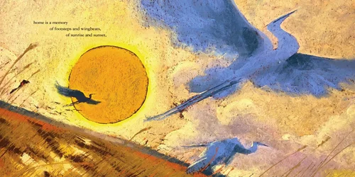 Children's Books — Evan Turk: Illustration