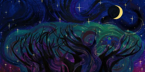 Children's Books — Evan Turk: Illustration