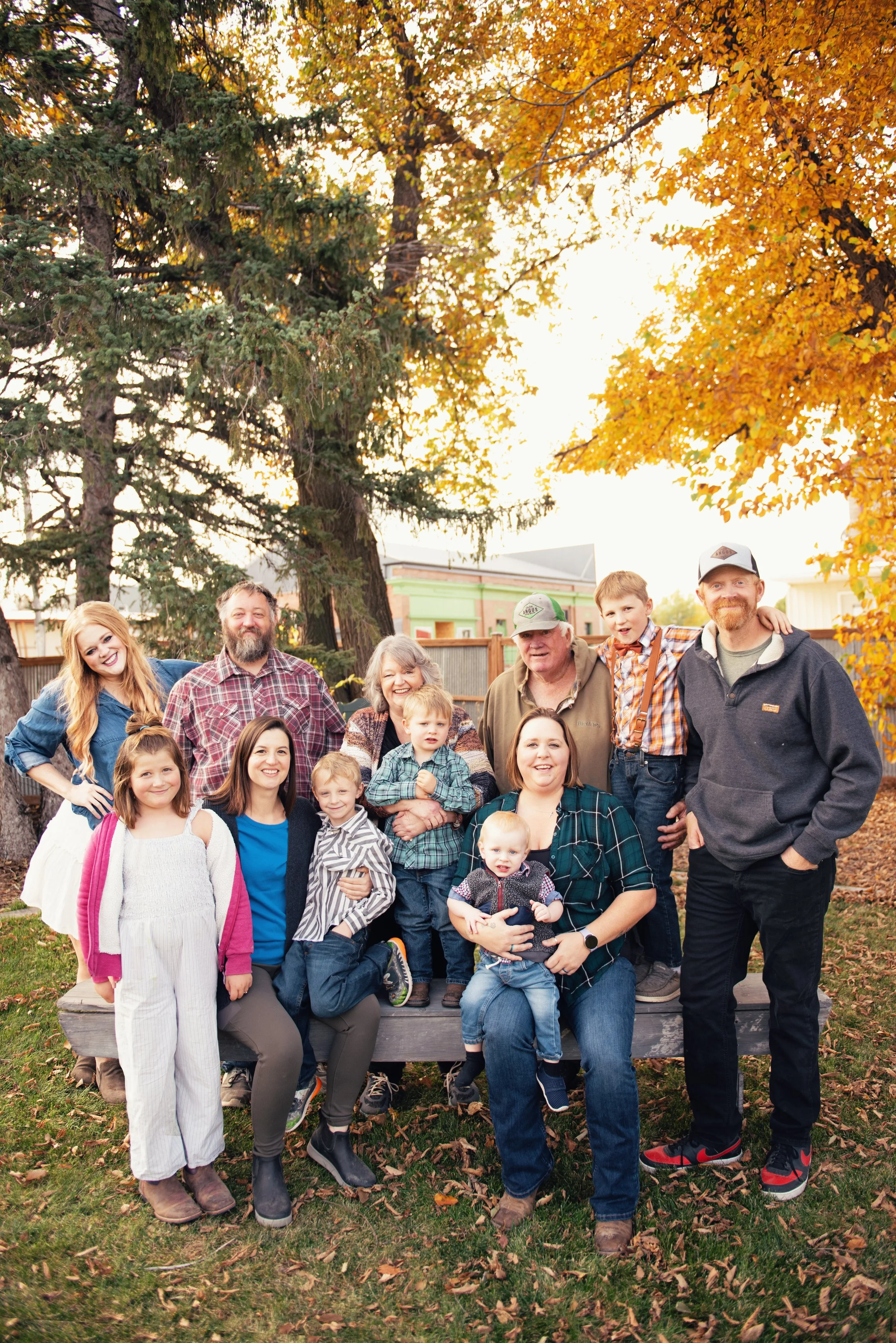 About Us — Carr Angus