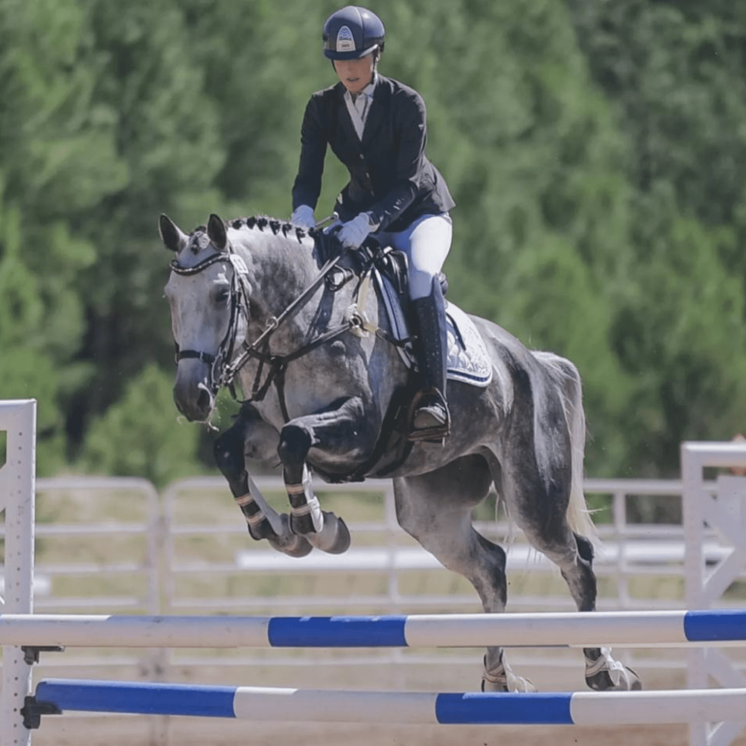 Horses For Sale & Lease | Ramsay Equine Select | Temecula, CA