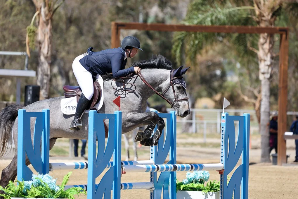 Matisse Van Tangelo | Ramsay Equine Select | Temecula, CA