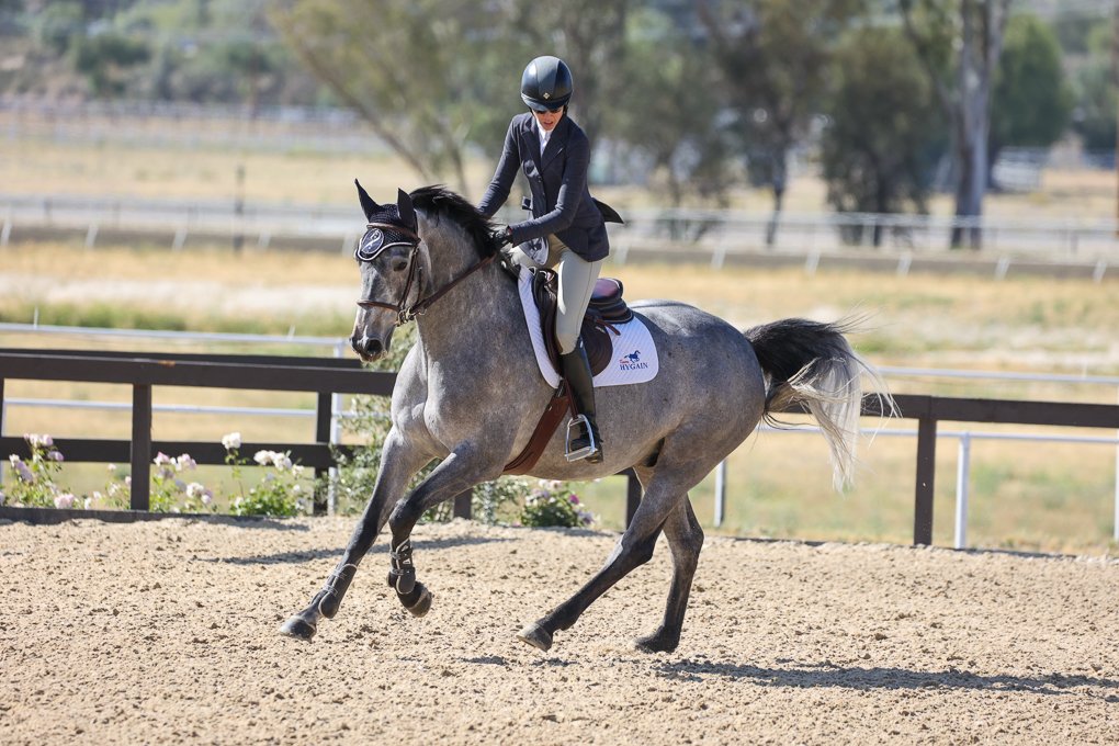 Matisse Van Tangelo | Ramsay Equine Select | Temecula, CA