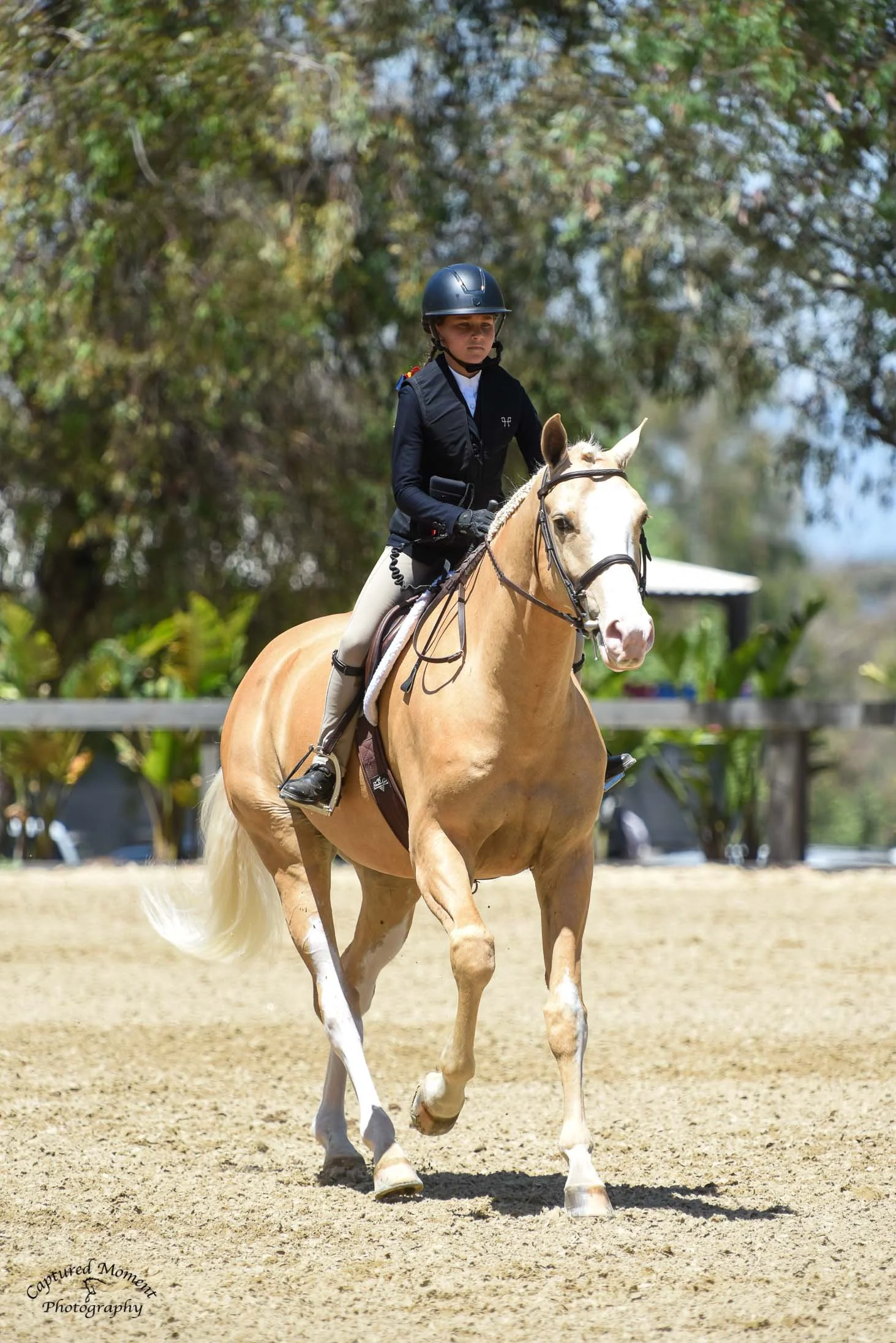 Key West | Ramsay Equine Select | Temecula, CA