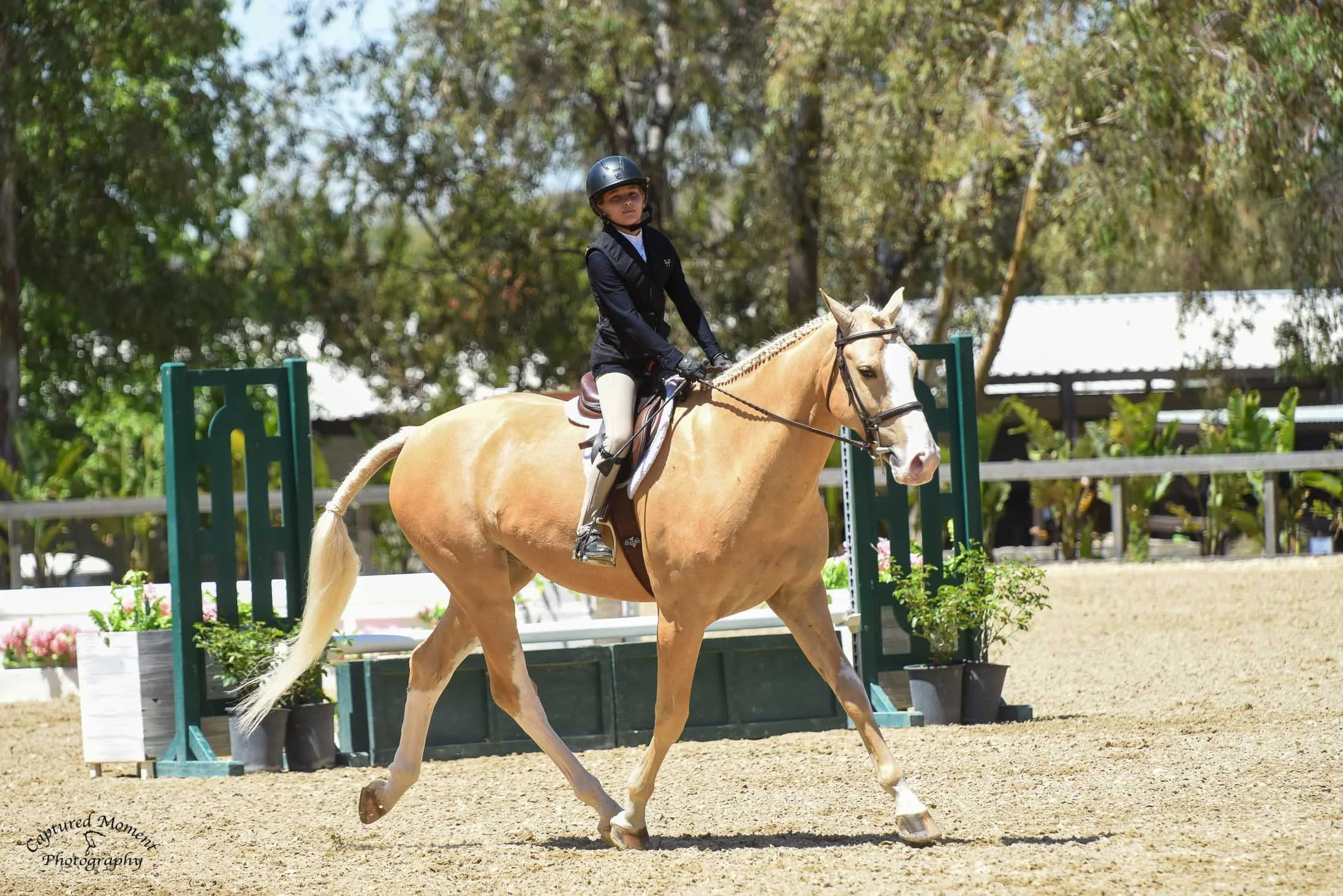 Key West | Ramsay Equine Select | Temecula, CA