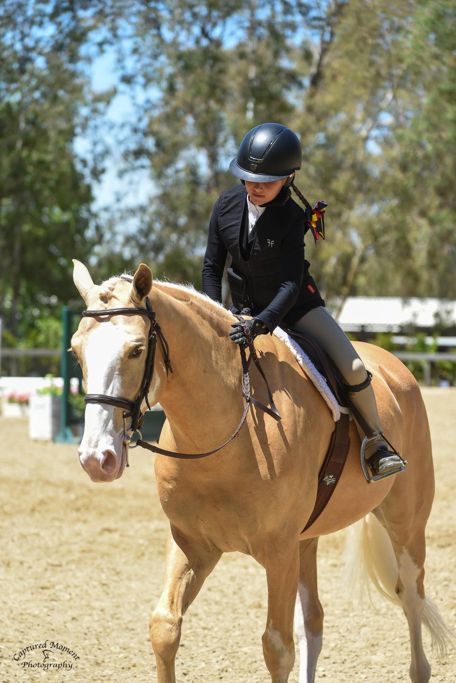 Key West | Ramsay Equine Select | Temecula, CA