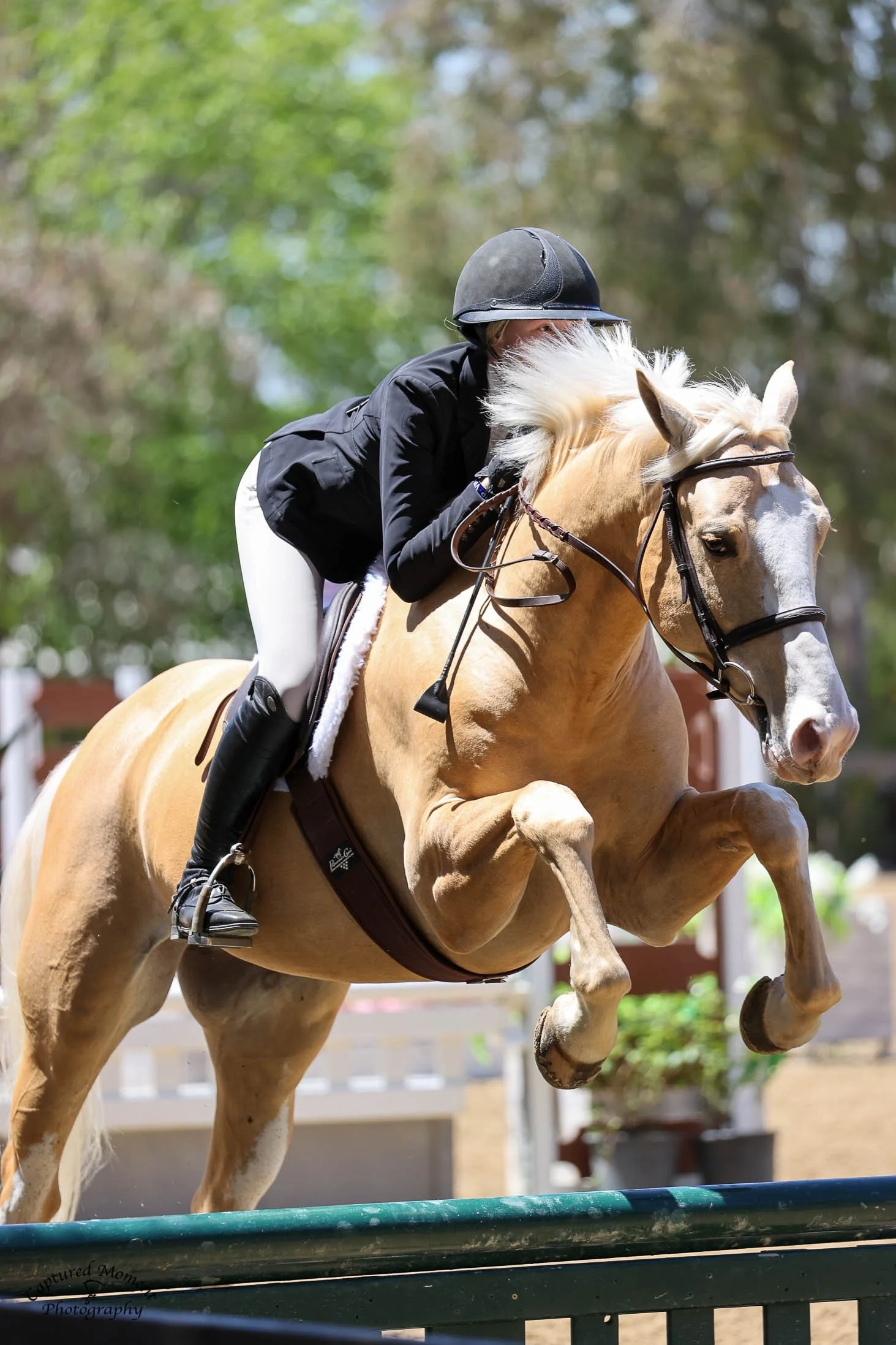 Key West | Ramsay Equine Select | Temecula, CA