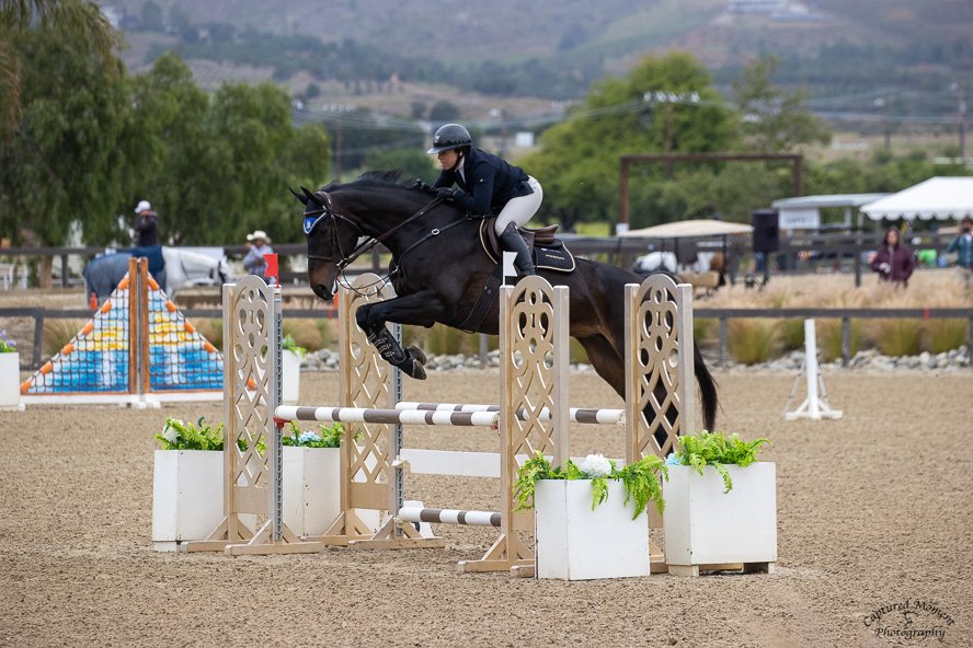 Chamani | Ramsay Equine Select | Temecula, CA