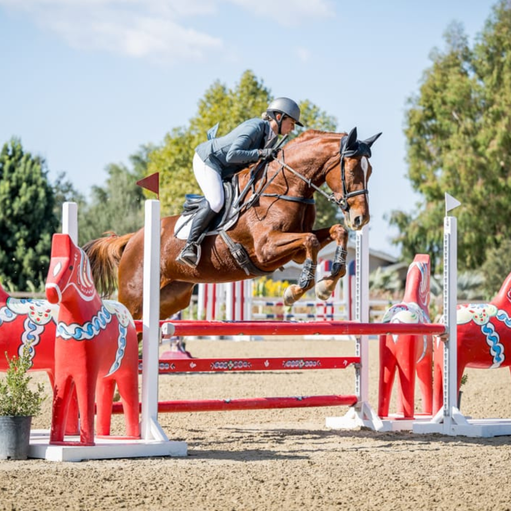Horses For Sale & Lease | Ramsay Equine Select | Temecula, CA