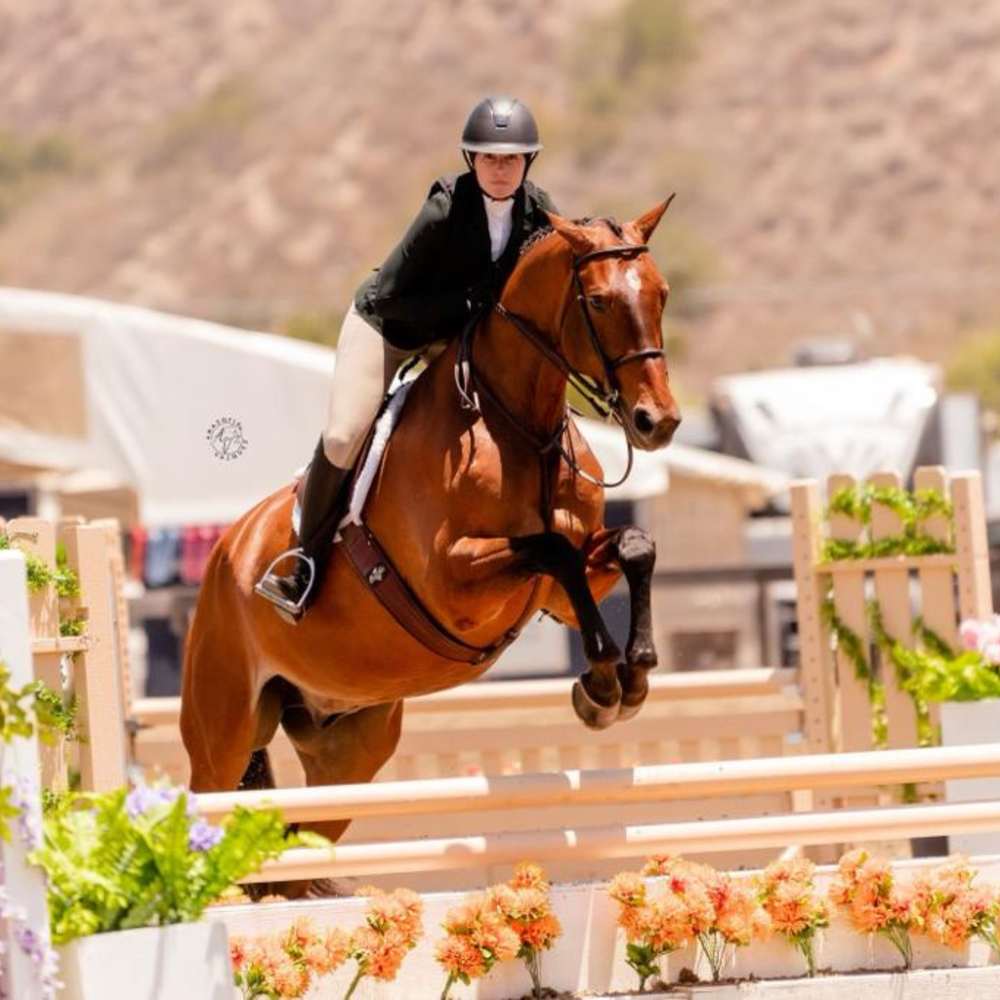 Horses For Sale & Lease | Ramsay Equine Select | Temecula, CA