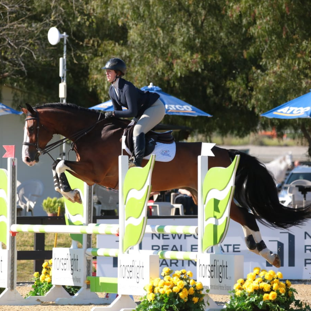 Horses For Sale & Lease | Ramsay Equine Select | Temecula, CA
