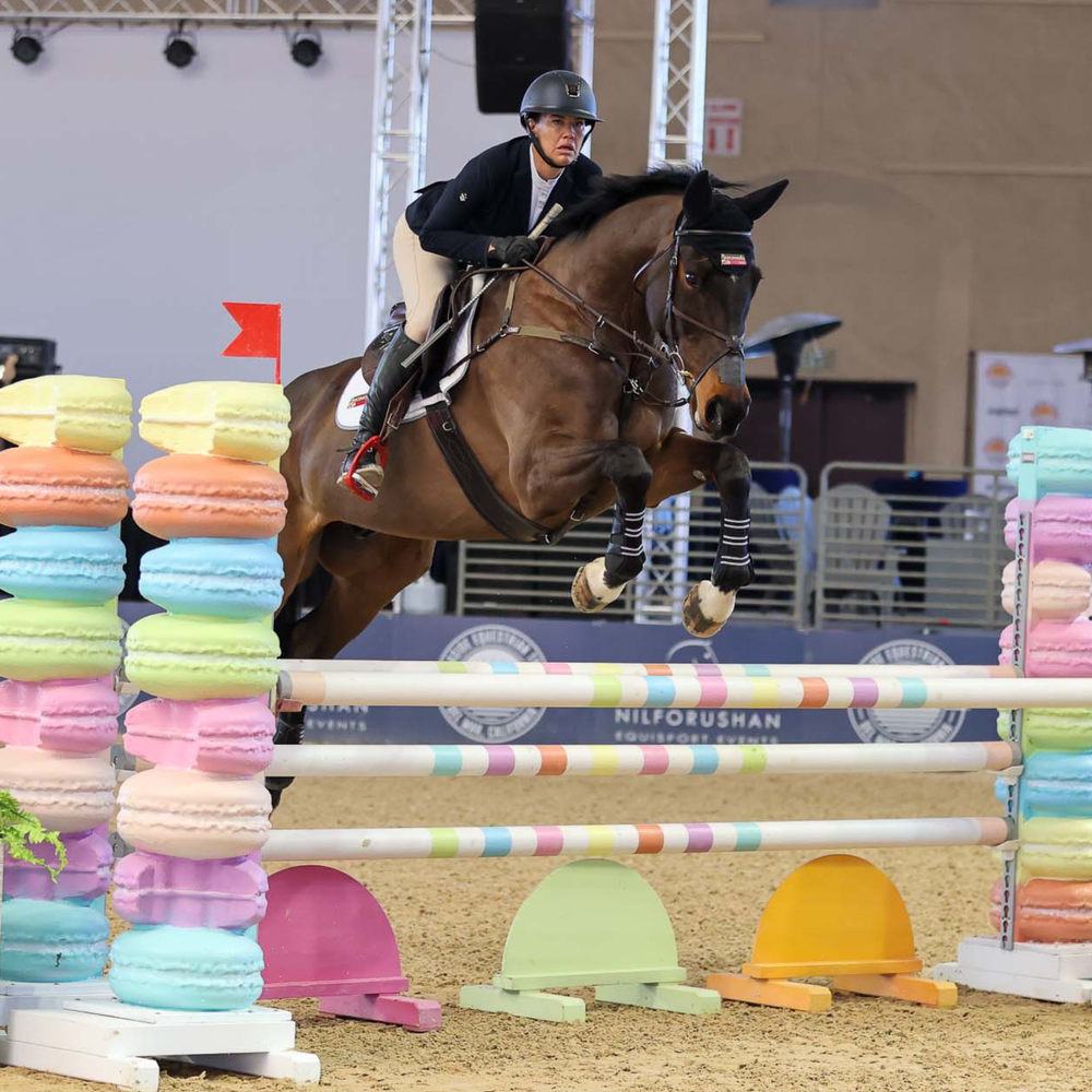 Horses For Sale & Lease | Ramsay Equine Select | Temecula, CA