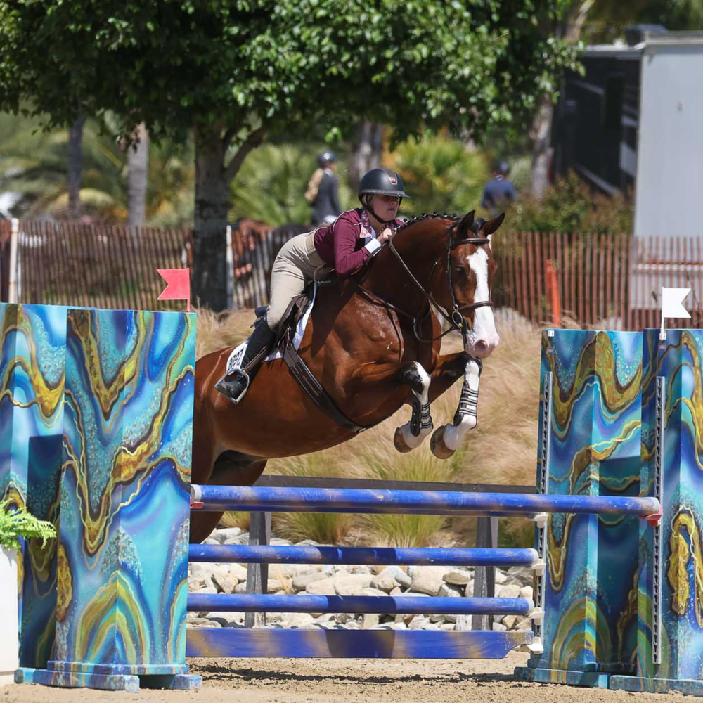 Horses For Sale & Lease | Ramsay Equine Select | Temecula, CA