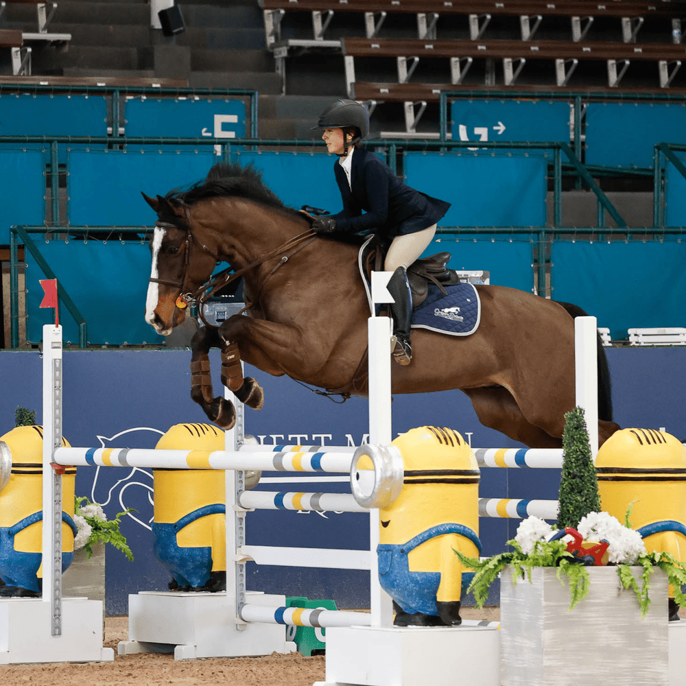 Horses For Sale & Lease | Ramsay Equine Select | Temecula, CA