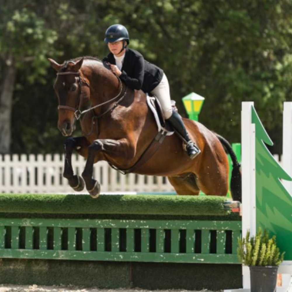 Horses For Sale & Lease | Ramsay Equine Select | Temecula, CA