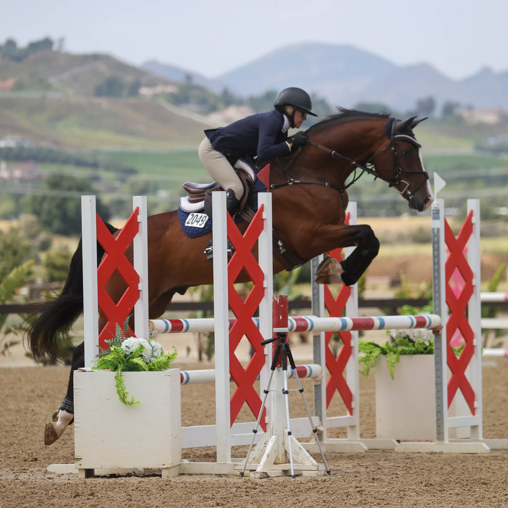 Horses For Sale & Lease | Ramsay Equine Select | Temecula, CA