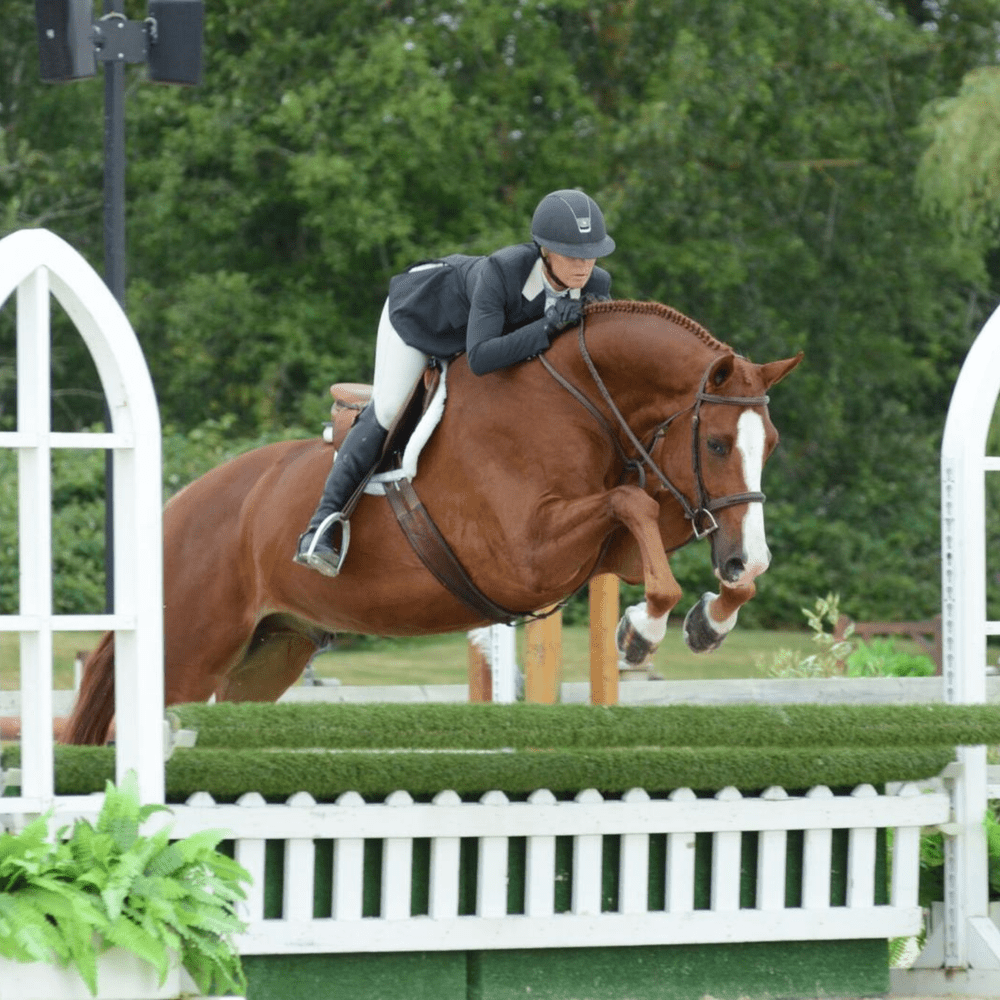Horses For Sale & Lease | Ramsay Equine Select | Temecula, CA