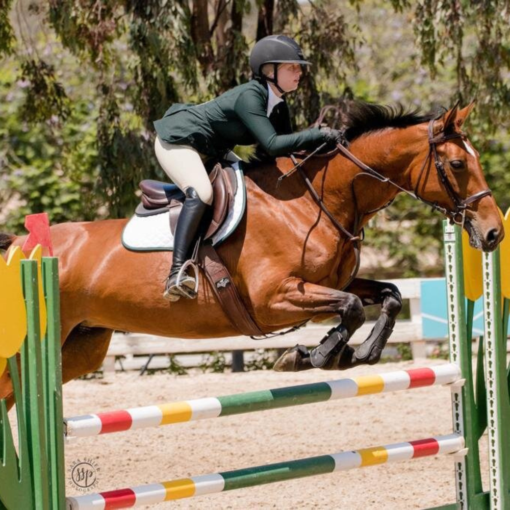 Horses For Sale & Lease | Ramsay Equine Select | Temecula, CA