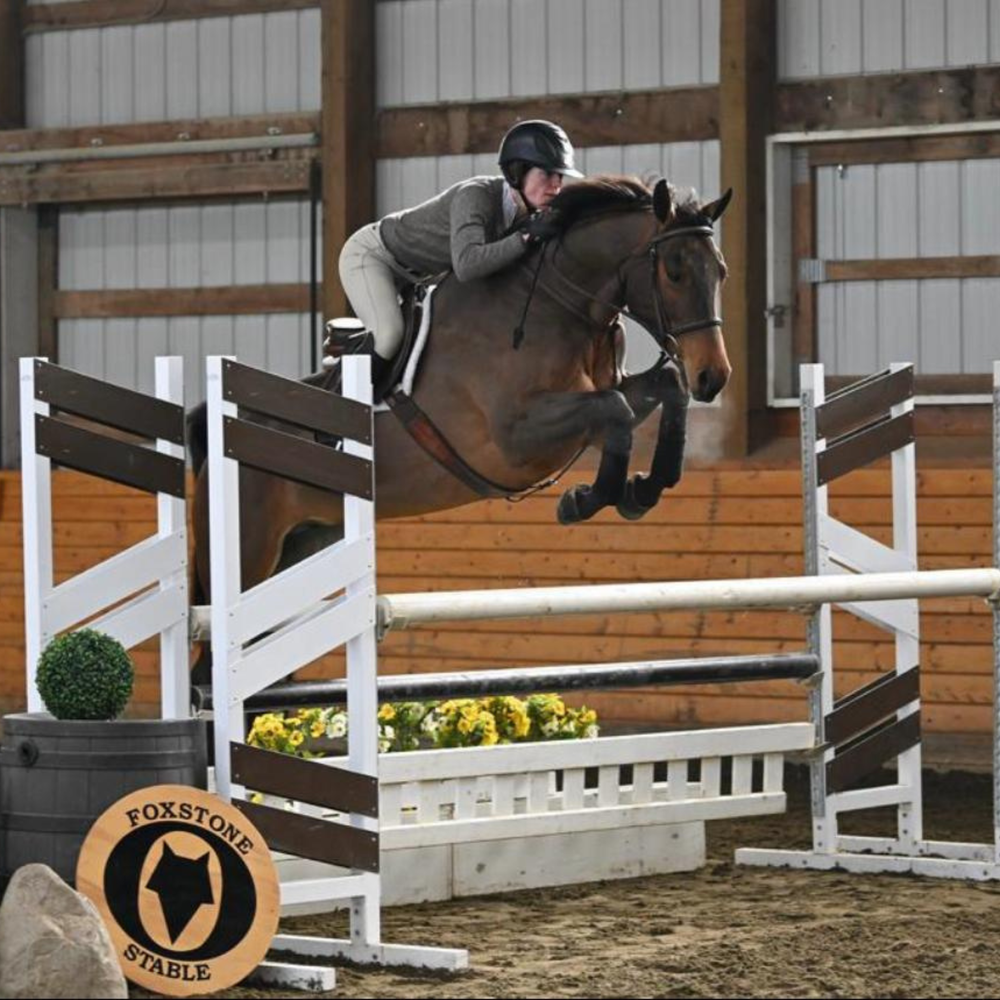 Horses For Sale & Lease | Ramsay Equine Select | Temecula, CA