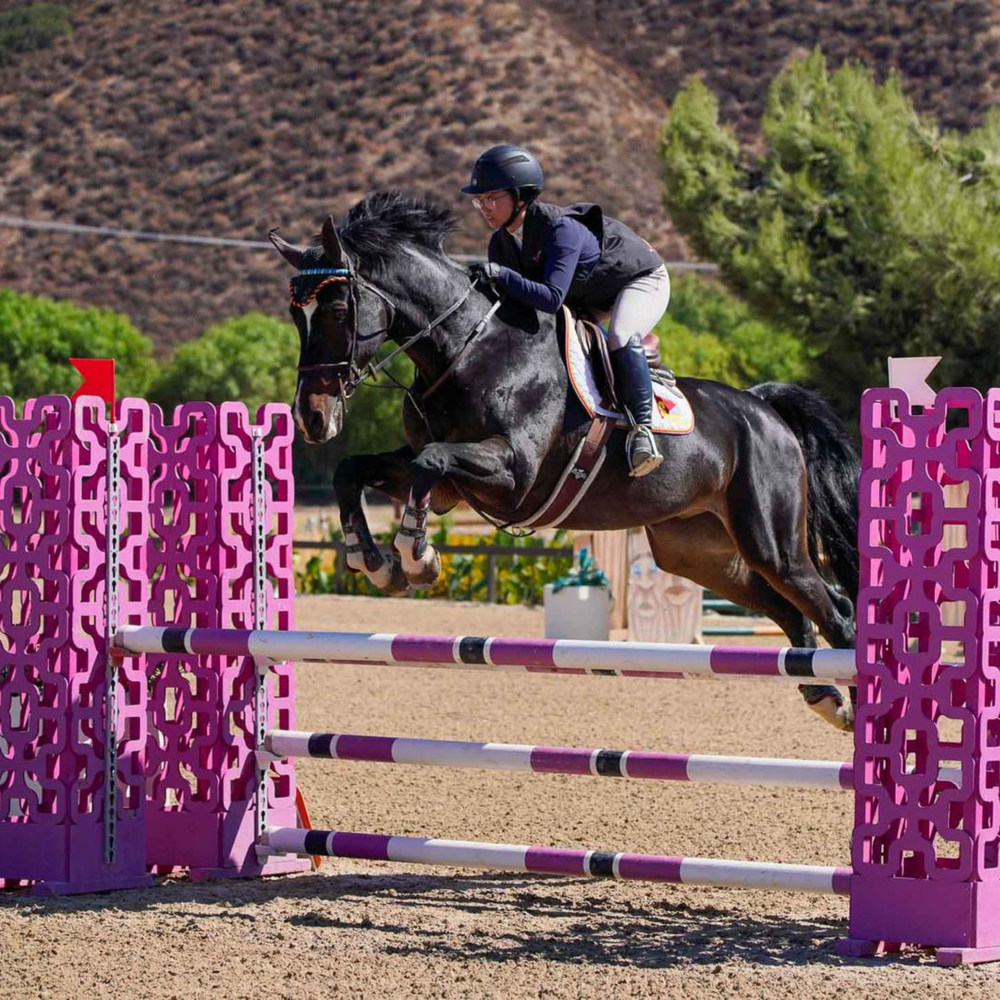 Horses For Sale & Lease | Ramsay Equine Select | Temecula, CA