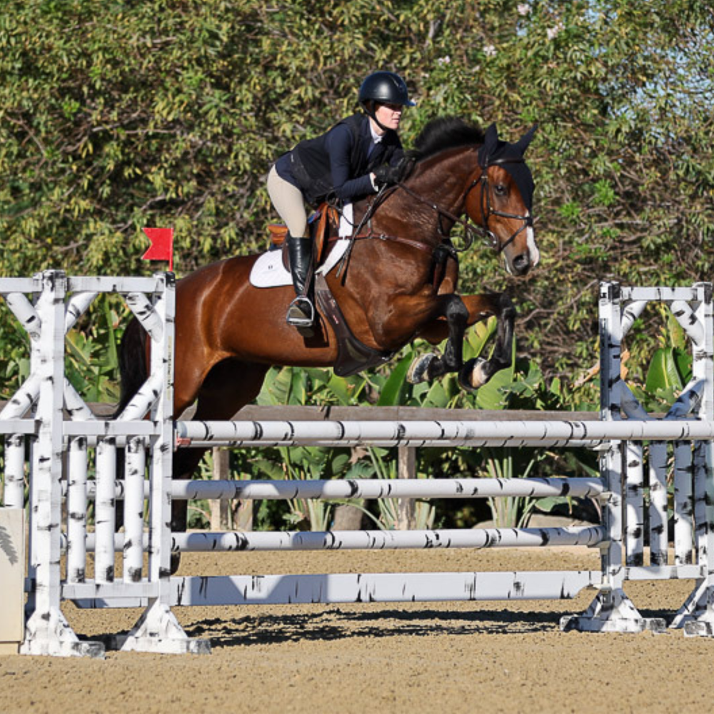 Horses For Sale & Lease | Ramsay Equine Select | Temecula, CA