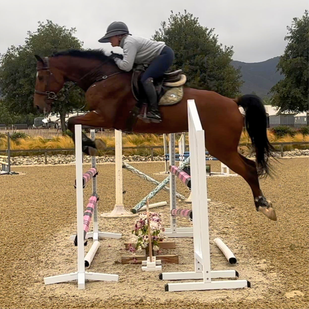 Horses For Sale & Lease | Ramsay Equine Select | Temecula, CA