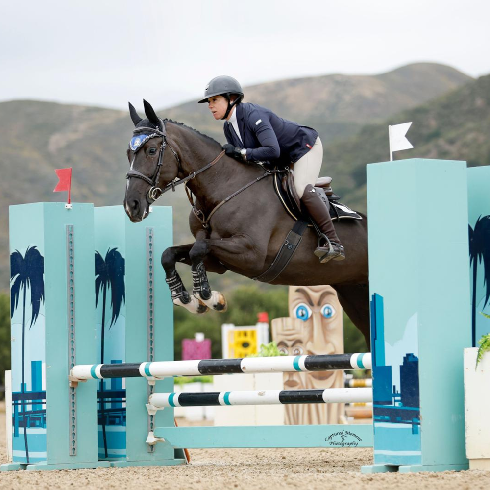 Horses For Sale & Lease | Ramsay Equine Select | Temecula, CA