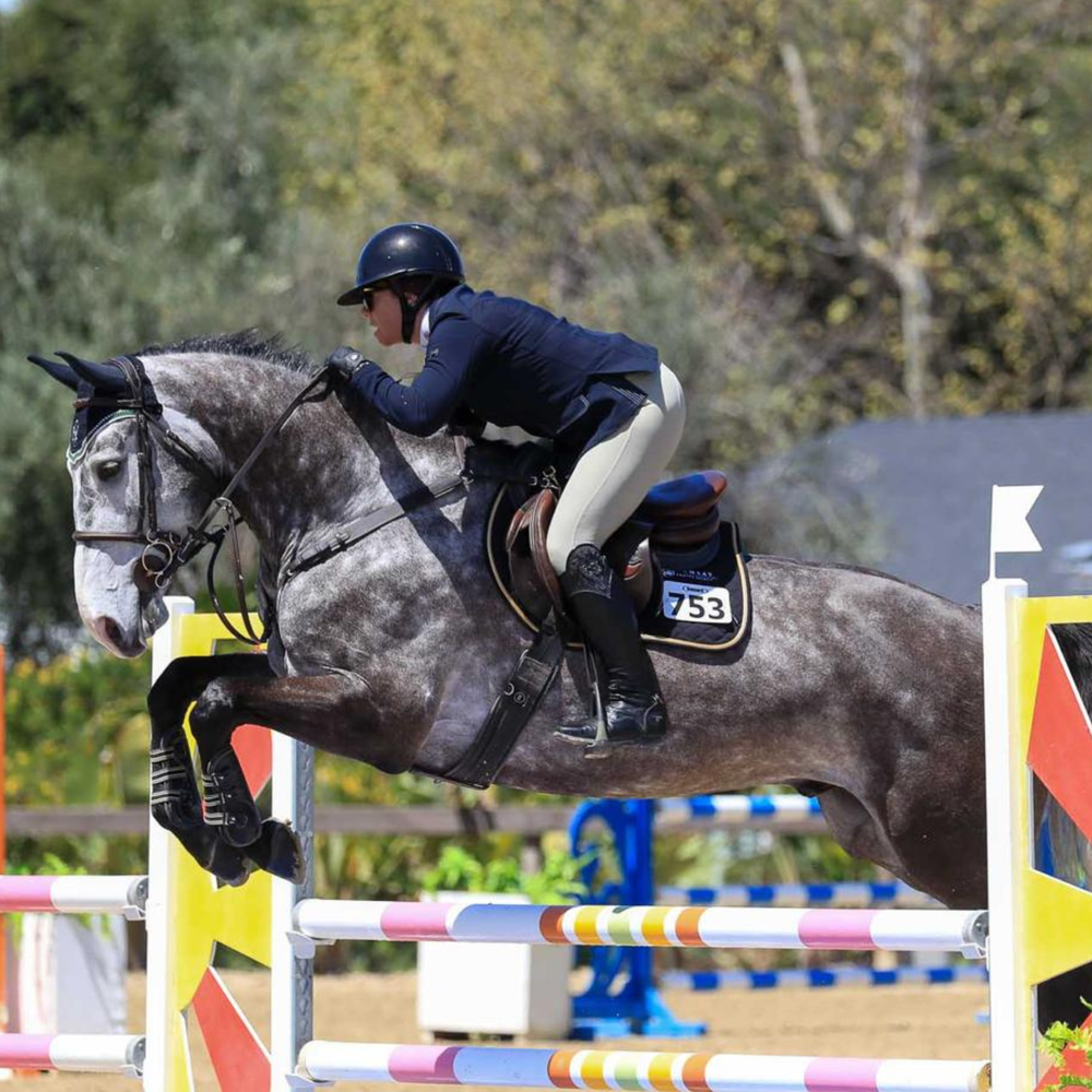 Horses For Sale & Lease | Ramsay Equine Select | Temecula, CA