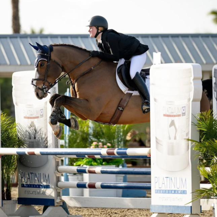 Horses For Sale & Lease | Ramsay Equine Select | Temecula, CA