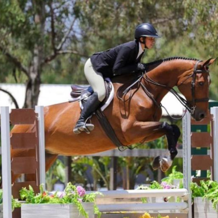 Horses For Sale & Lease | Ramsay Equine Select | Temecula, CA