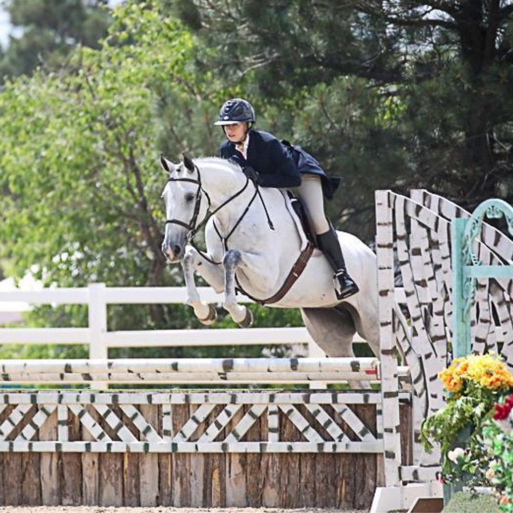 Horses For Sale & Lease | Ramsay Equine Select | Temecula, CA