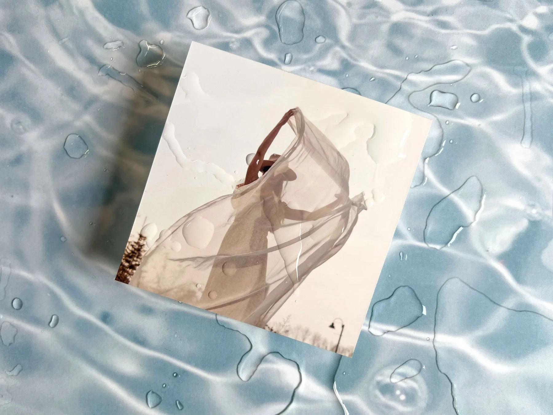 What is a Real Photographic Print — Persnickety Box