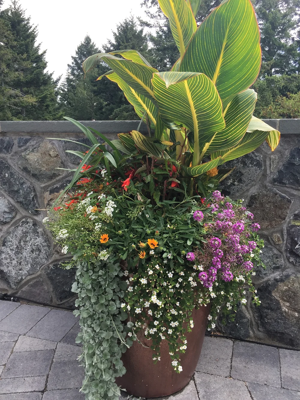 Breathtaking Cliffside Garden & Stone Patio | Mustang Landscape ...