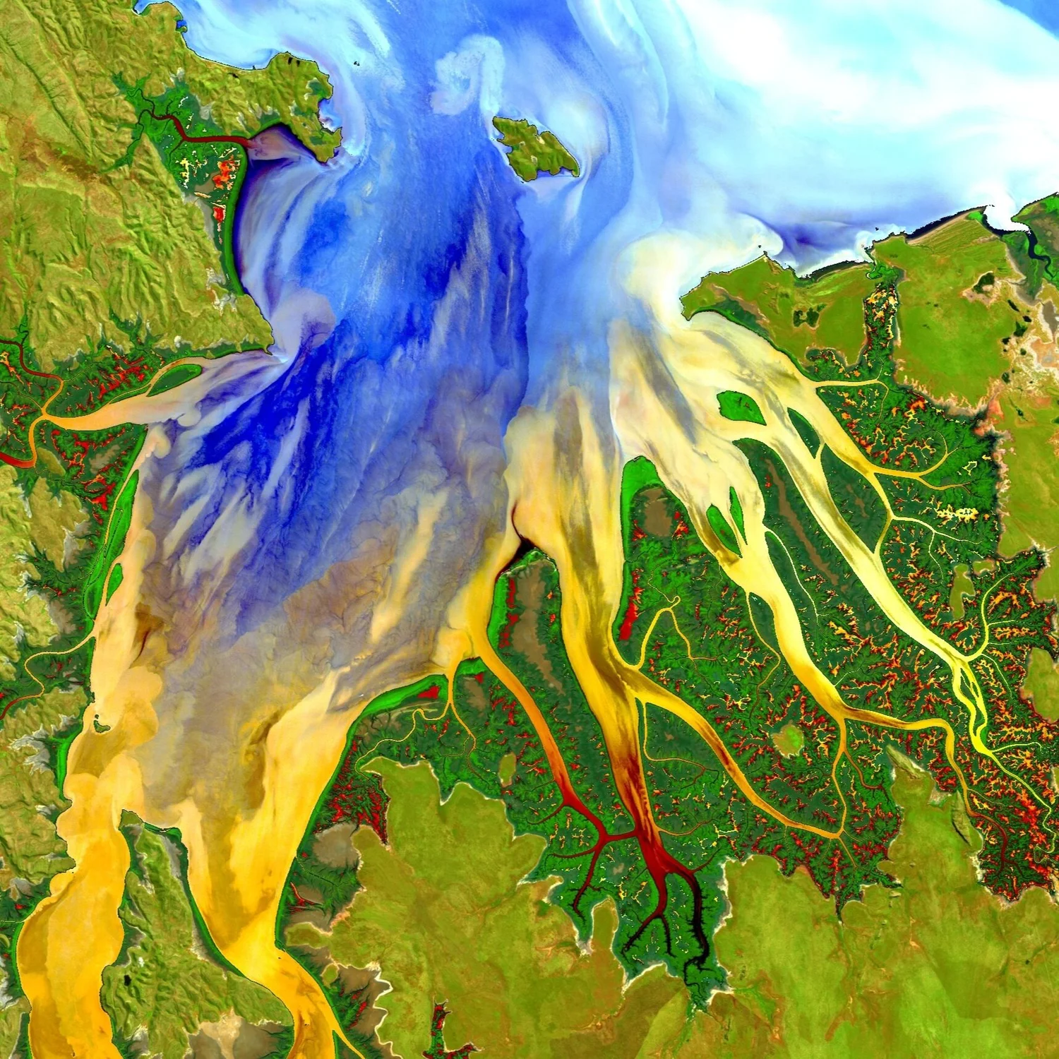 Earth Observation Australia
