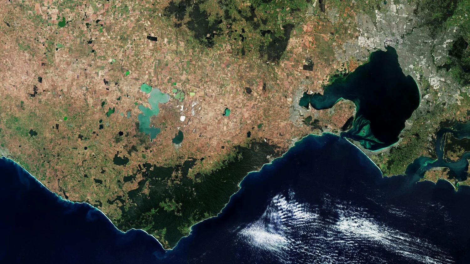 Australian EO Businesses — Earth Observation Australia