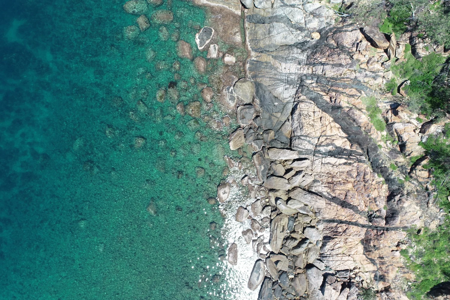 Our history — Earth Observation Australia