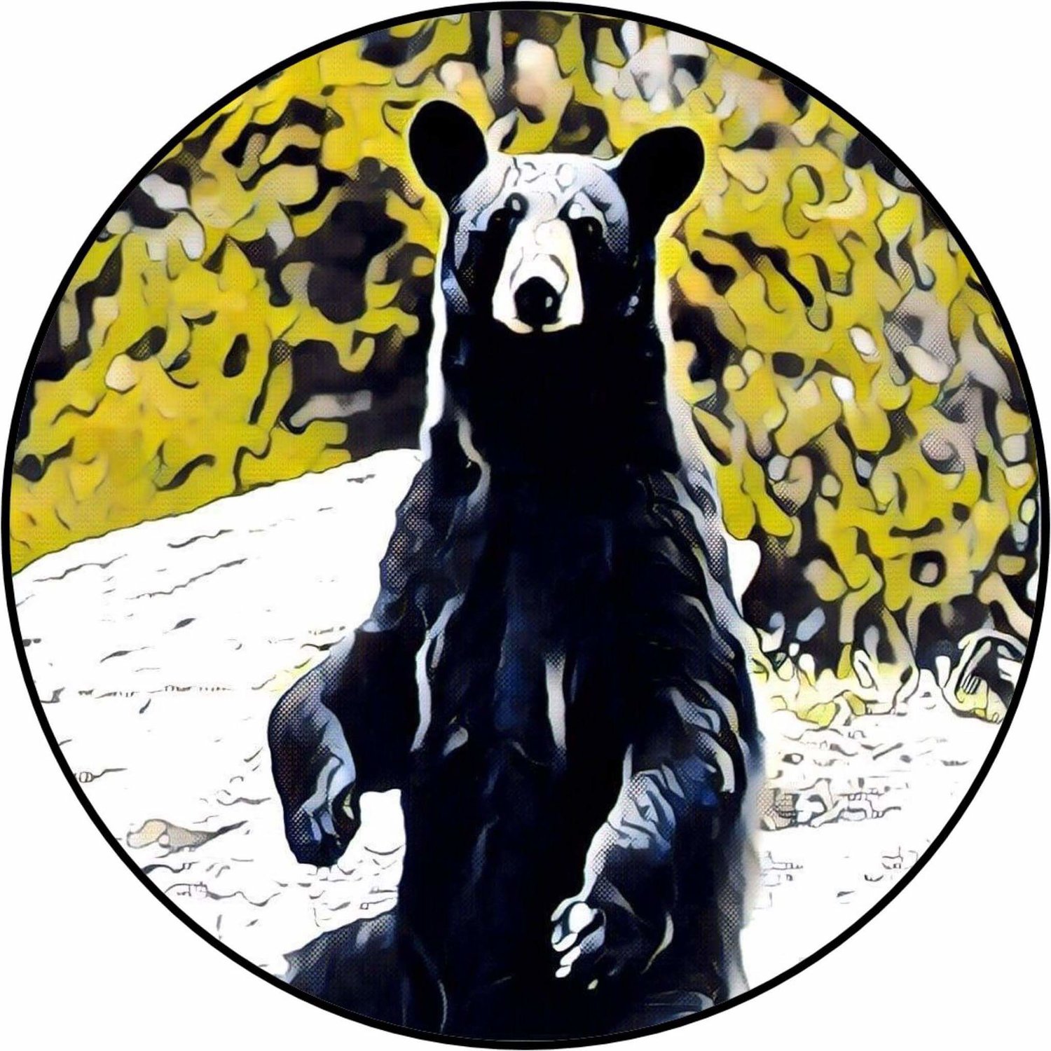 The Bear Stand