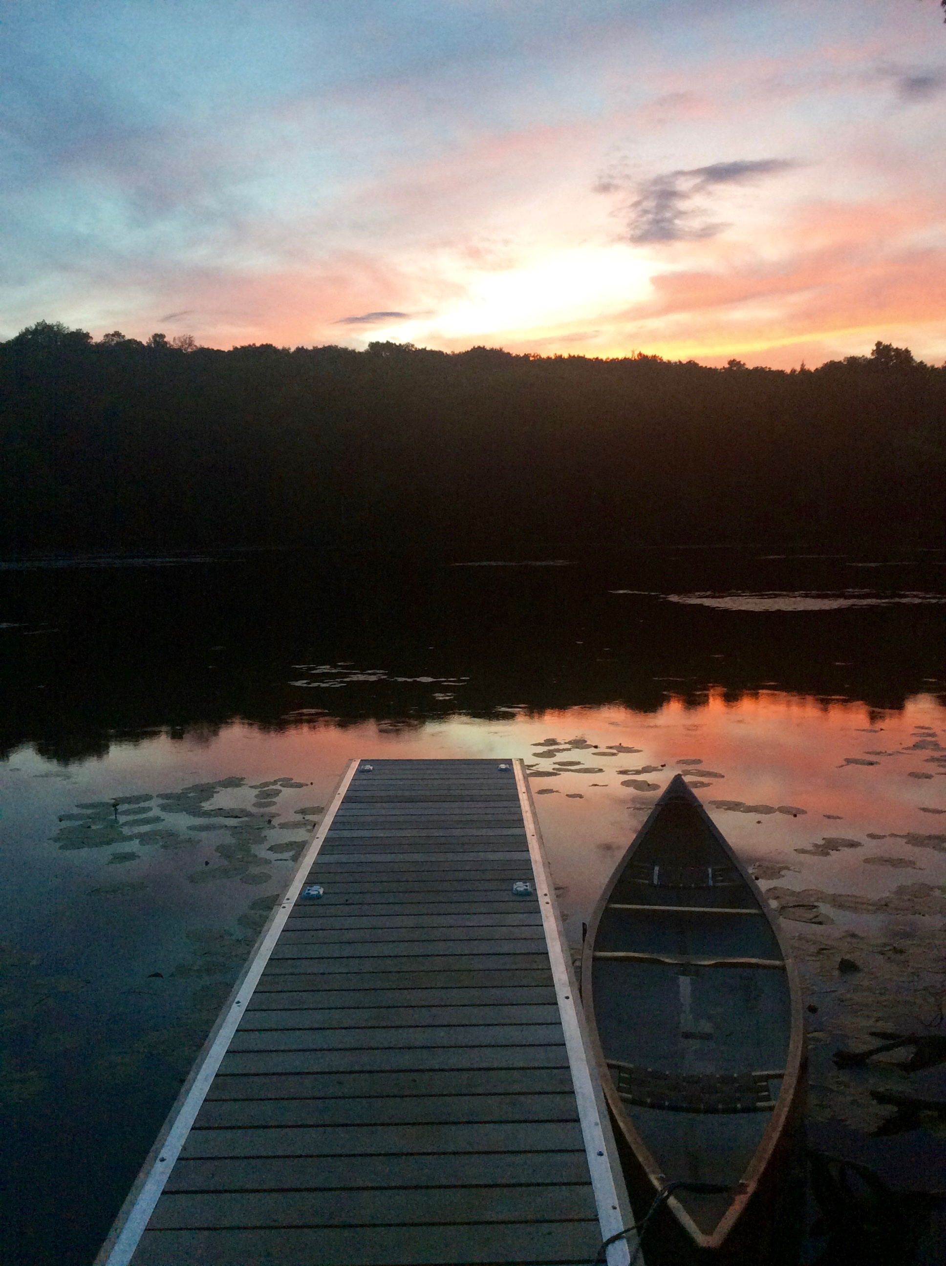 The Bear Stand - About Our Wild and Wonderful Lake in the Haliburton ...