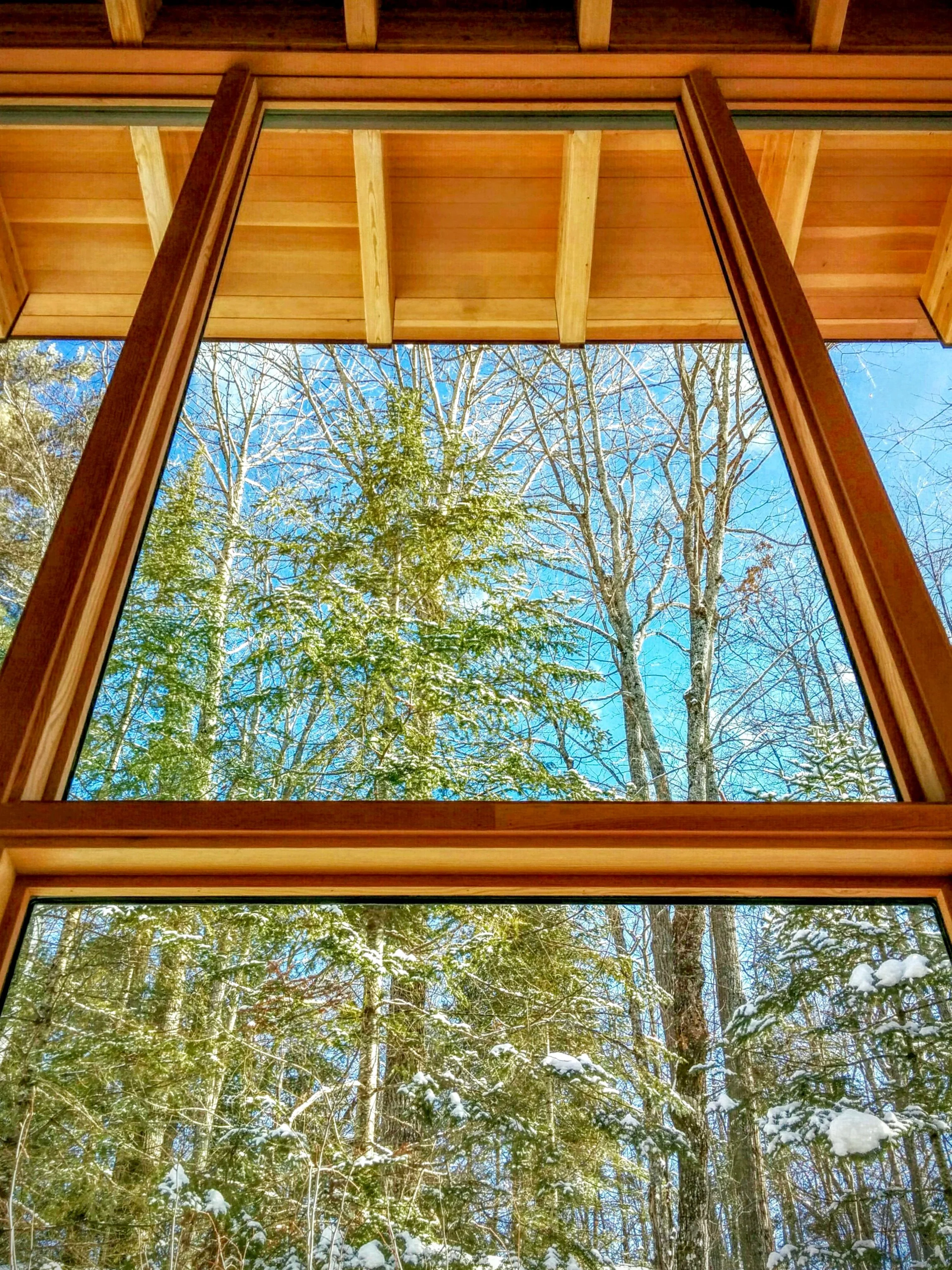 The Bear Stand - Our Architectural Photo Gallery
